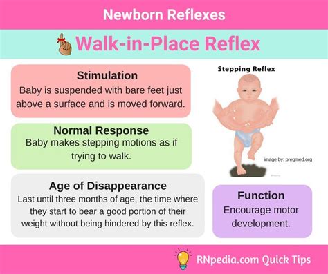 Newborn Reflexes Artofit