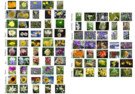 Image Classification Using Python And Scikit Learn Gogul Ilango