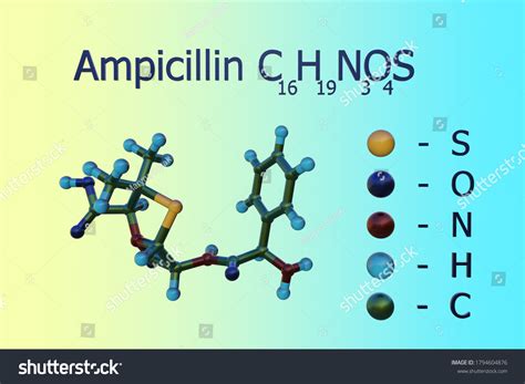 Structural Chemical Formula Molecular Model Ampicillin Stock Illustration 1794604876 Shutterstock