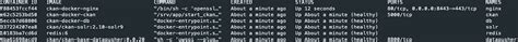 How To Install Ckan Using Docker Containers Link Digital
