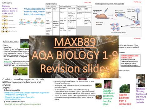 Gcse 9 1 Revision Biology Aqa Unit 3 Revision Slides Teaching Resources