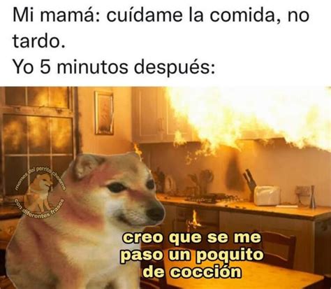 Estos Son Todos Los Memes Con Los Que Recordaremos Para Siempre A