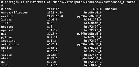 Comprehensive Guide To Python Virtual Environments Using Conda For Data Scientists Towards