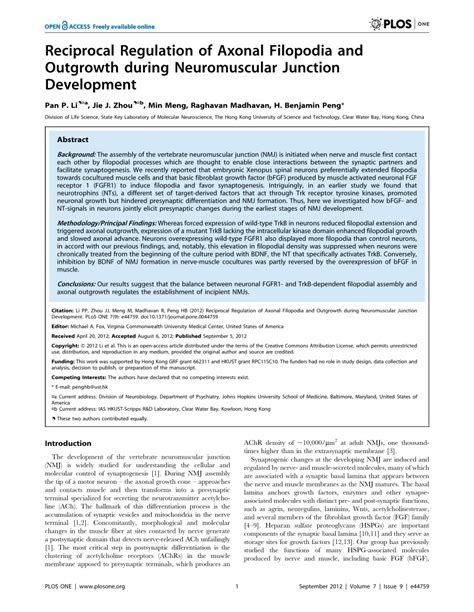 Pdf Reciprocal Regulation Of Axonal Filopodia And Outgrowth During Neuromuscular Junction