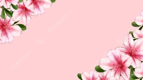 Best Flower Border Powerpoint Background For Presentation Slidesdocs Com