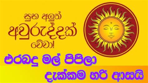 Erabudhu Mal Pipila Balanna Hari H R Jothipala එරබදු මල් පිපිලා දැක්කම හරි ආසයි Youtube