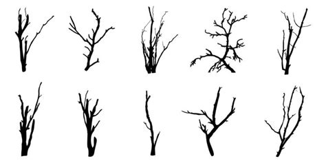 Branching Structure Vector Art Icons And Graphics For Free Download