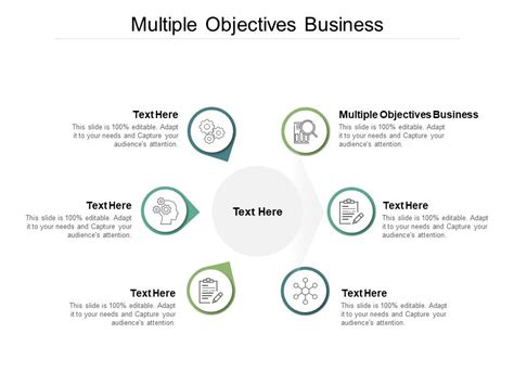 Multiple Objectives Business Ppt Powerpoint Presentation Show Objects Cpb