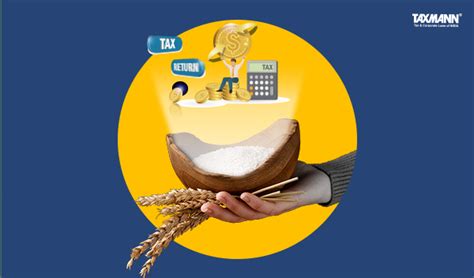 18 Gst Is Applicable On Instant Mix Flour Containing Spices And Other