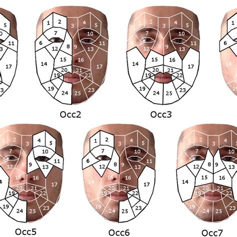 facial movement in the presence of partial face occlusion download