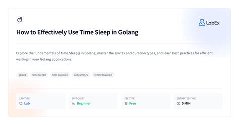 How To Effectively Use Time Sleep In Golang Labex
