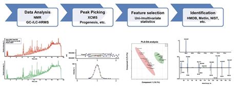 Introduction To How Ai Is Transforming Metabolome Research