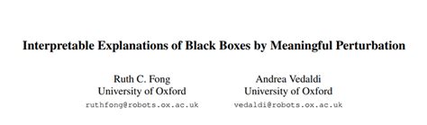 【classifierlocal】有意义的扰动 知乎