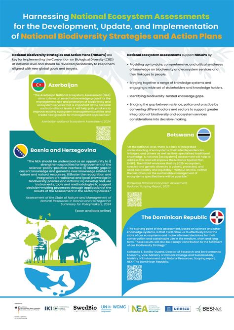 The Role Of National Ecosystem Assessments In Supporting The Review And Update Of National