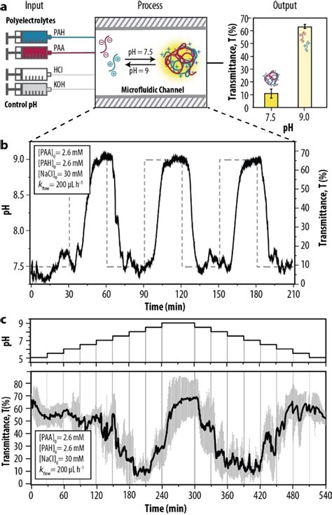 Molecular Information Processing In A Chemical Reaction Network Using Surface‐mediated