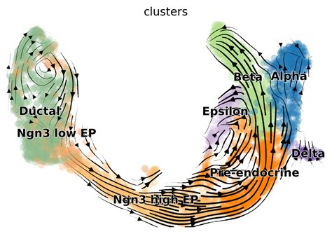 14 Rna Velocity — Single Cell Best Practices