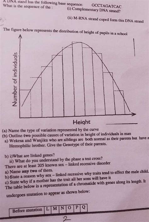 A DNA Stand Has The Following Base Sequence StudyX