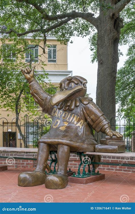 Cocky The Gamecock School Mascot Sculpture Editorial Photo Image Of