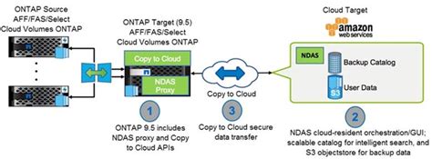 Netapp Certified Data Administrator Ontap Ns0 161 Dumps Updated V11 02 Valid It Exam Dumps