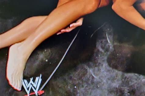 Torrie Wilson Nude Porn Pictures Xxx Photos Sex Images 4064652 Page