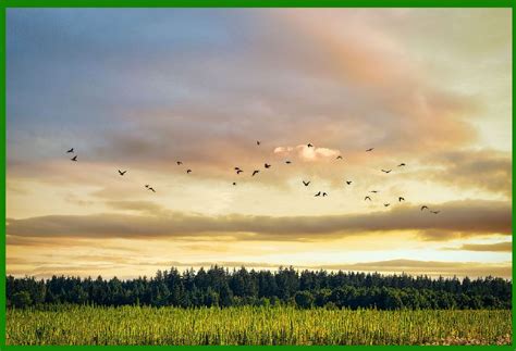 Tsc Barcode Label Printer Operation And Maintenance