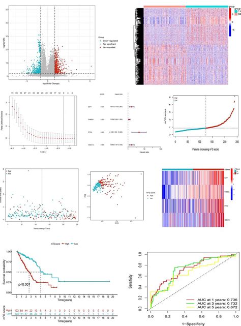 Construction Of M 7 G Related Signature Based On Tcga Train Cohort A