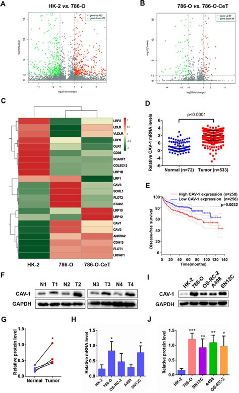 Microarray Analysis Showed Differentially Expressed Genes In Download Scientific Diagram