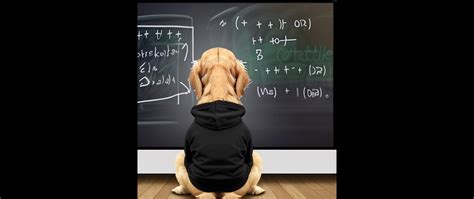 A Dive Into Recursion With Elixir Dev Community