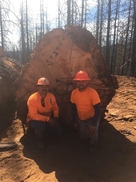 About Jandr Logging Inc Jandr Logging