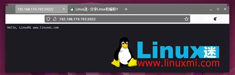 如何在 Ubuntu Server 2204 上安装 Caddy Web 服务器 Linux迷