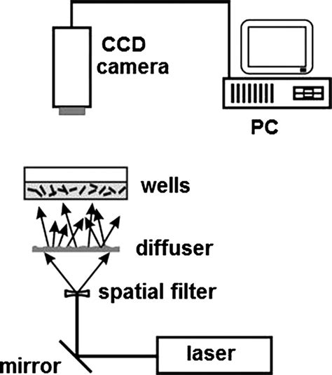 scheme of experimental setup used to record the dynamic speckle