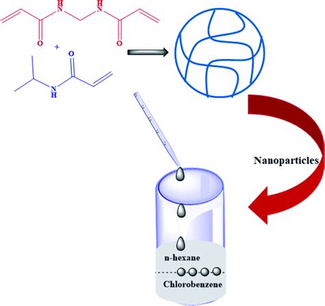 Synthesis Of The Polyn Isopropylacrylamide Pnipam Microgel And The Download Scientific