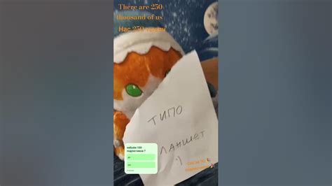 Кот в шапочке с носками Youtube