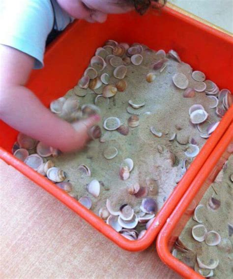 Interactive Shells Sand Activity