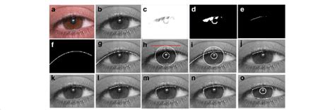 Some More Results Of Extracted Iris From The Ubiris Images 24 A Download Scientific Diagram