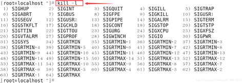 Linux系统管理 进程管理 终止进程kill、killall、pkillkill L Csdn博客
