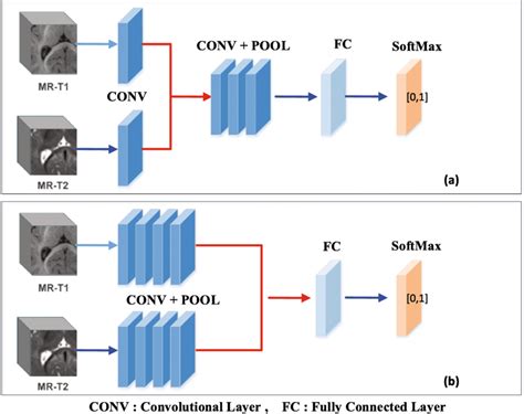 Illustration Of The Structure For A Type I Fusion Networks And B Download Scientific Diagram