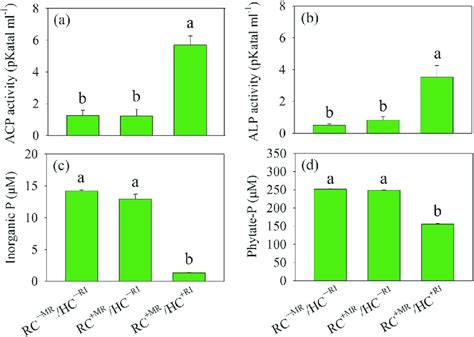 A Acid Phosphatase Acp Activity B Alkaline Phosphatase Alp