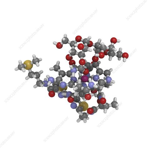 Bleomycin Drug Molecule Stock Image F Science Photo Library