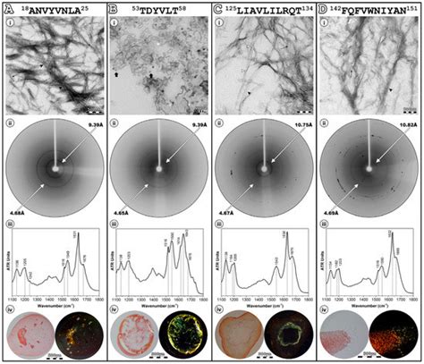 Bacterial Lectin Fimh And Its Aggregation Hot Spots An Alternative Strategy Against
