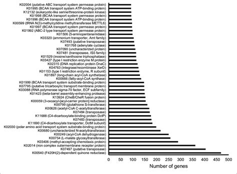 annotation of open reading frames orfs derived from the metagenome
