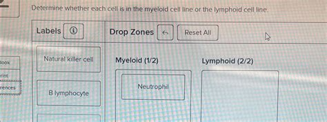 Solved Determine Whether Each Cell Is In The Myeloid Cell
