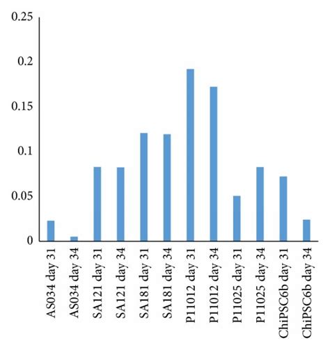 Bar Graph Showing The Rna Expression Levels Of The Drug Transporters