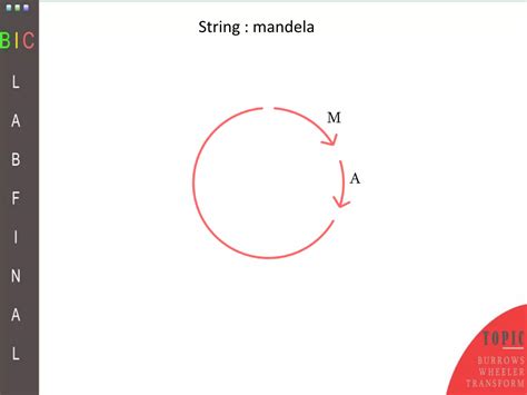 Burrows Wheeler Transform Assignment Encoding And Decoding Technique