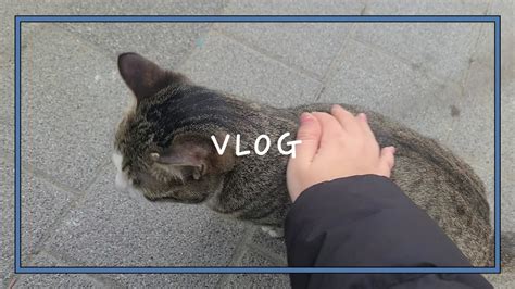 𝚟𝚕𝚘𝚐 오랜만에 올리는 일상 브이로그 Youtube