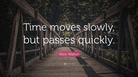 Top 380 Alice Walker Quotes 2025 Update Quotefancy