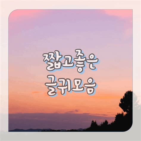 네이버 인플루언서