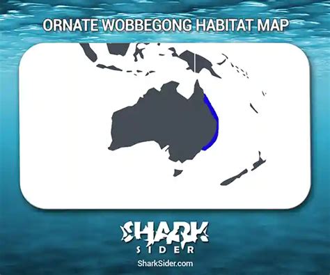Ornate Wobbegong Facts Size Diet Pictures