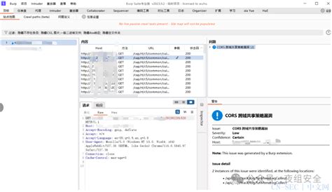 一个用于检测cors（跨域资源共享）配置漏洞的burp suite扩展插件 cn sec 中文网