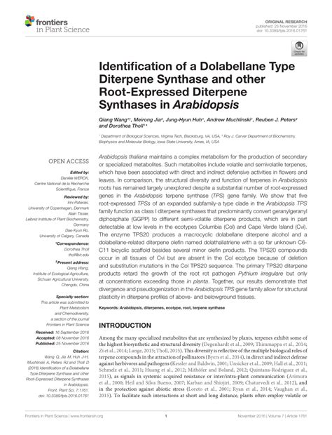 Pdf Identification Of A Dolabellane Type Diterpene Synthase And Other Root Expressed Diterpene